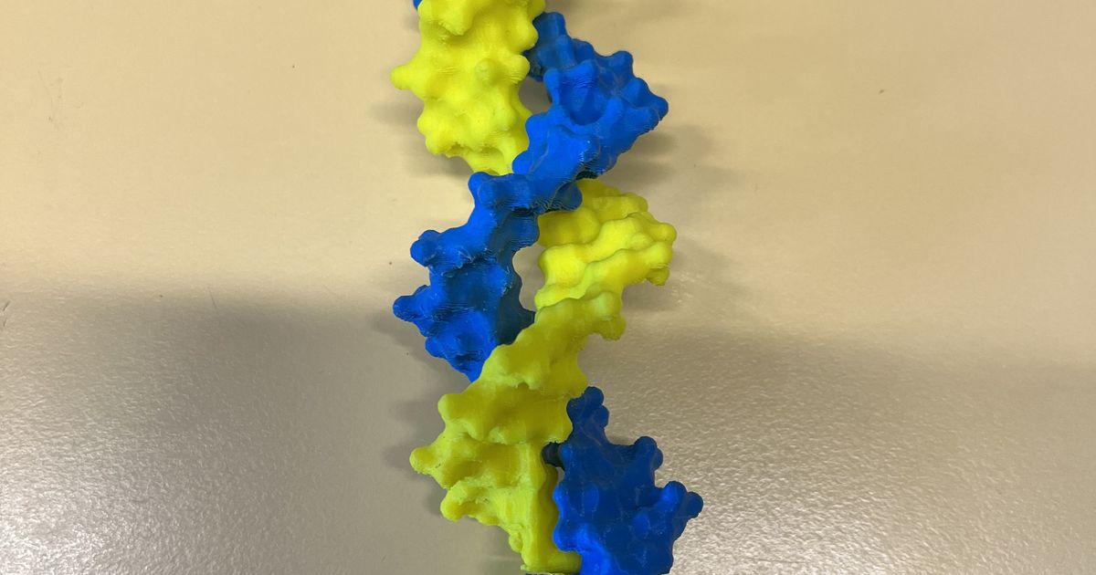 DNA molecule double helix by Krápník | Download free STL model ...