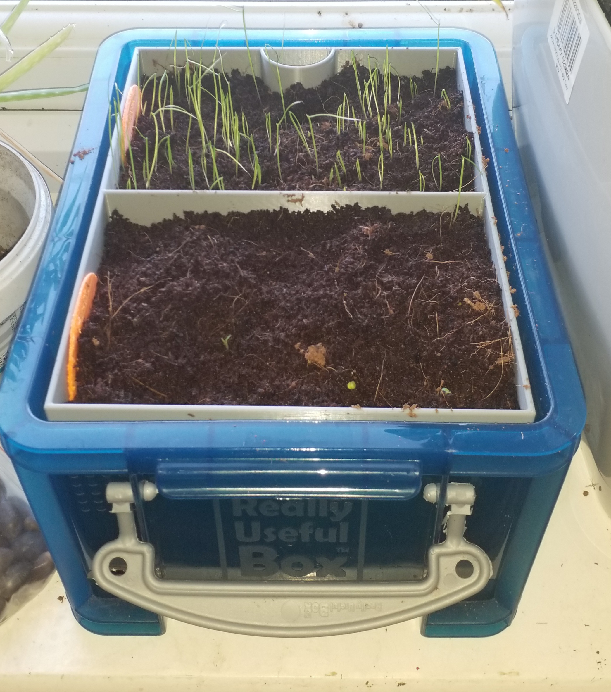 3L self watering herb pot by Faenum | Download free STL model ...