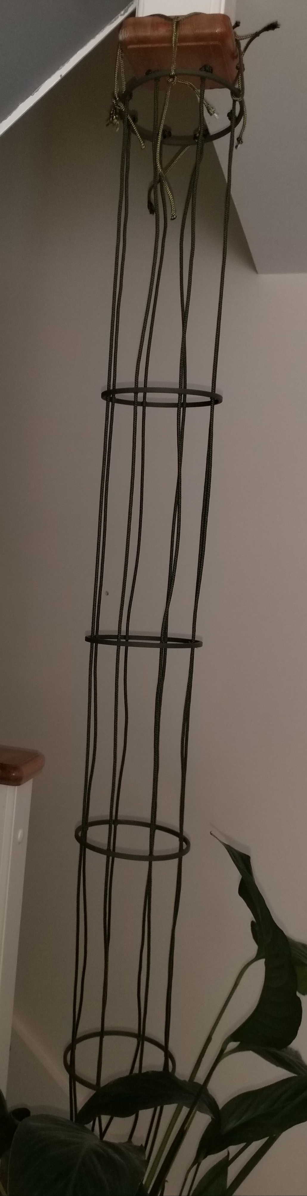 Hanging plant support ring von Faenum | Kostenloses STL-Modell ...