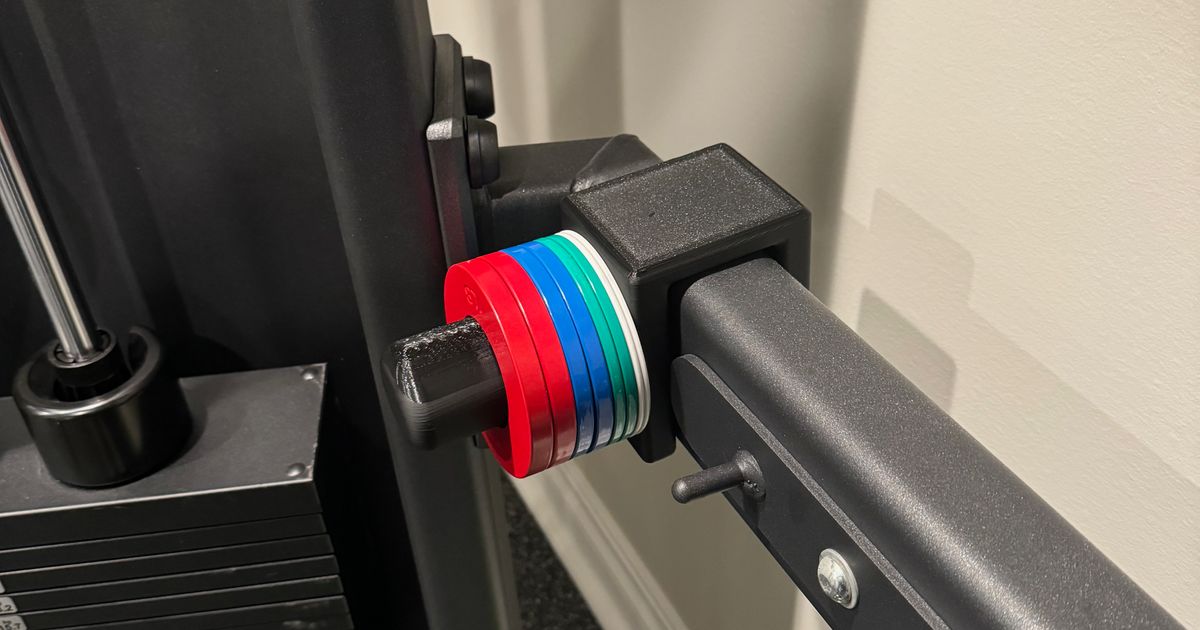 Rep Fitness FT-5000 Function Trainer Olympic Weight Peg for Fractional ...