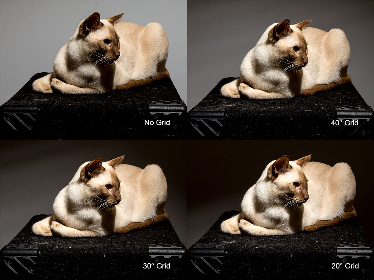 Canon Speedlight Grid von OzRocky | Kostenloses STL-Modell ...