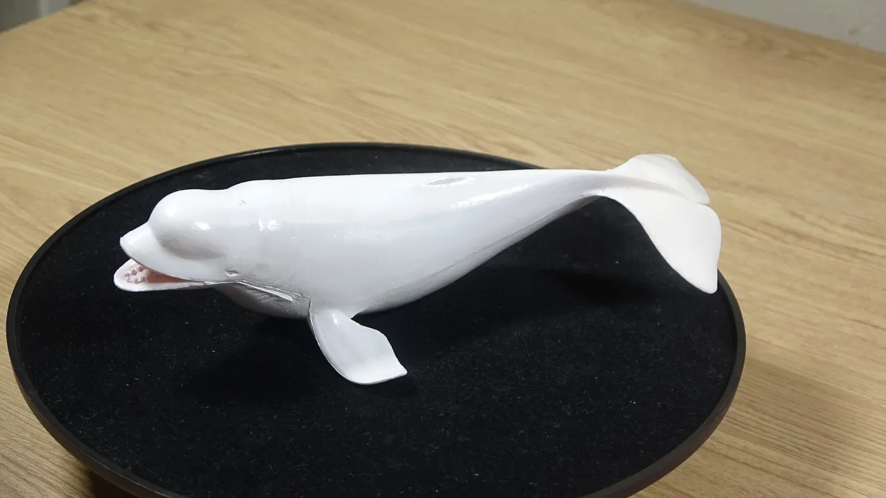 3D-Scanned Dolphin STL - Dive into Digital Precision by Locus Prints ...