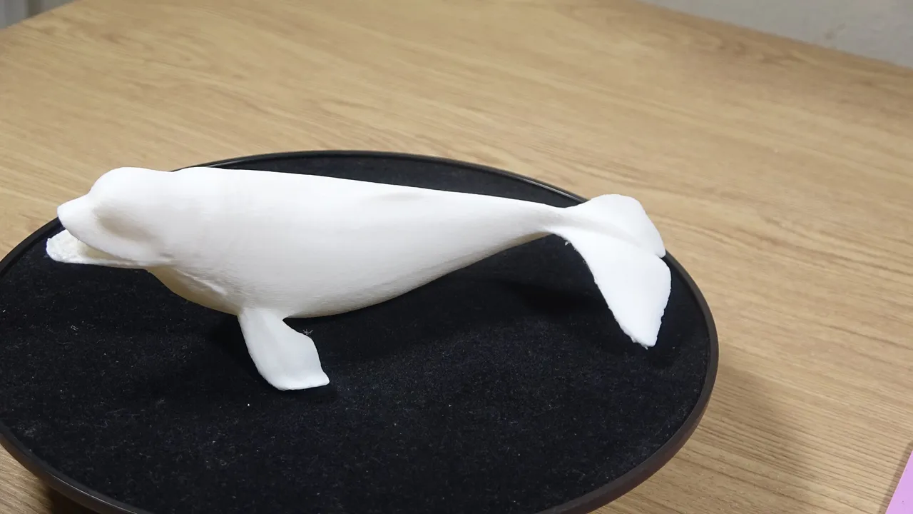 3D-Scanned Dolphin STL - Dive into Digital Precision by Locus Prints ...