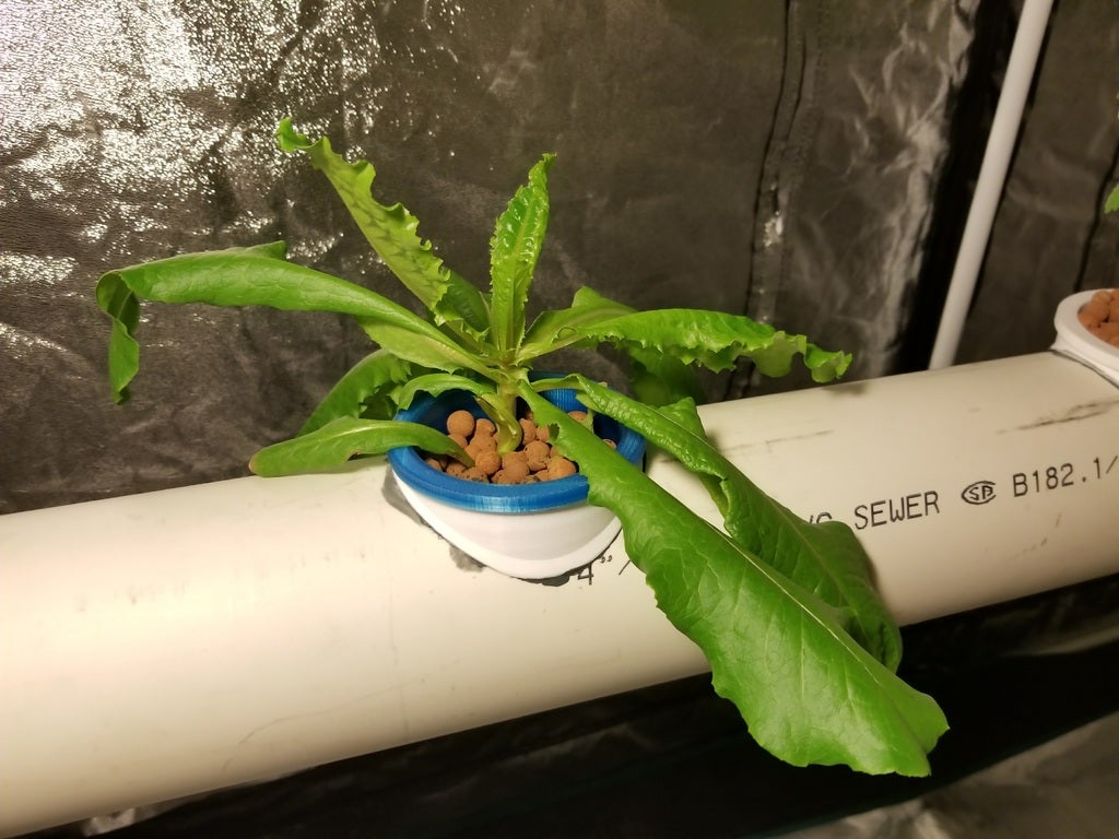 Hydroponics Net Cup / Pot System for 4inch PVC Pipe by smysnk ...