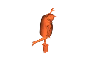 Drill Bit Ballerina Gru by Peter Farell | Download free STL model ...