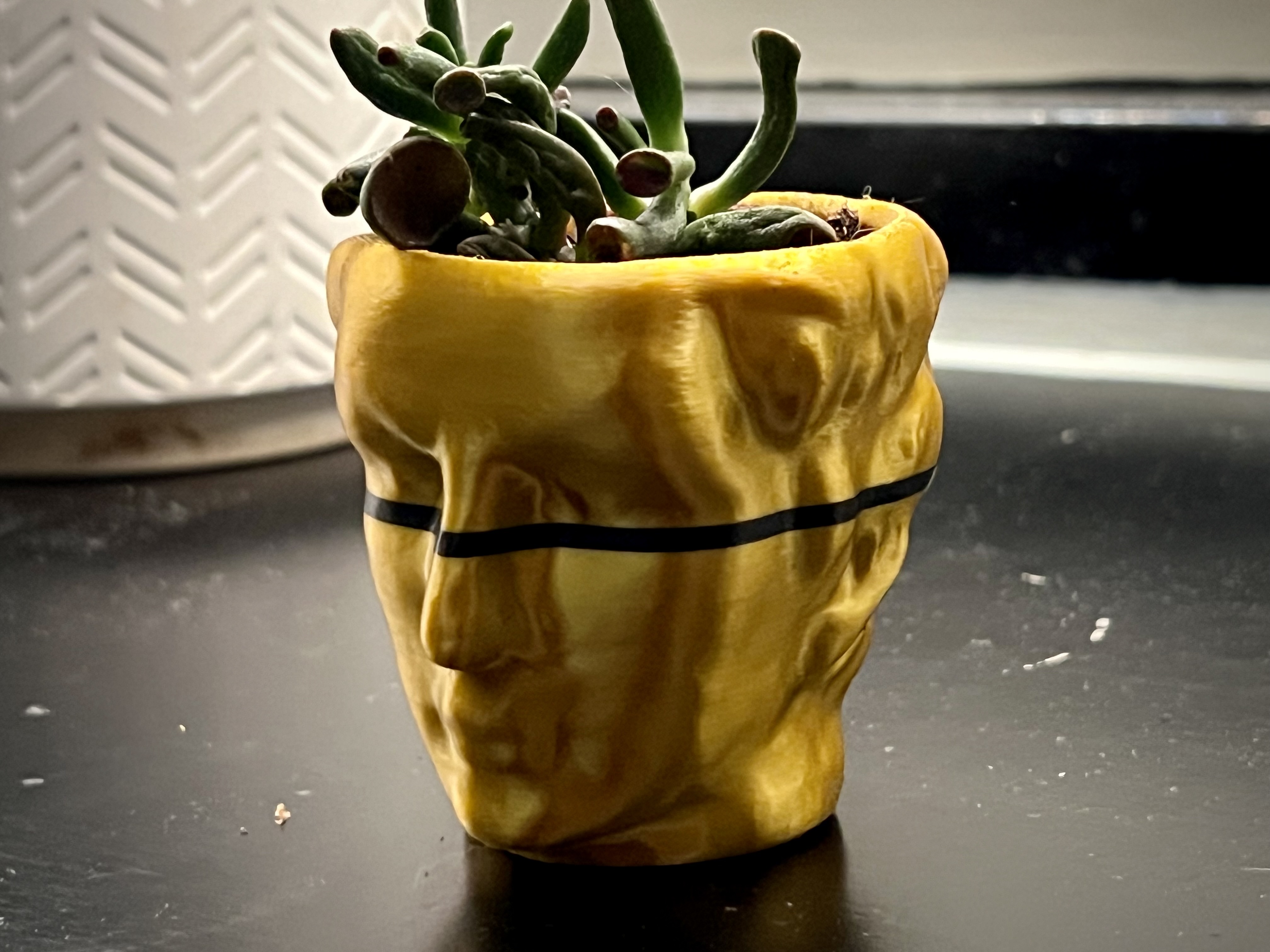 Roman Head Planter by Jordy | Download free STL model | Printables.com