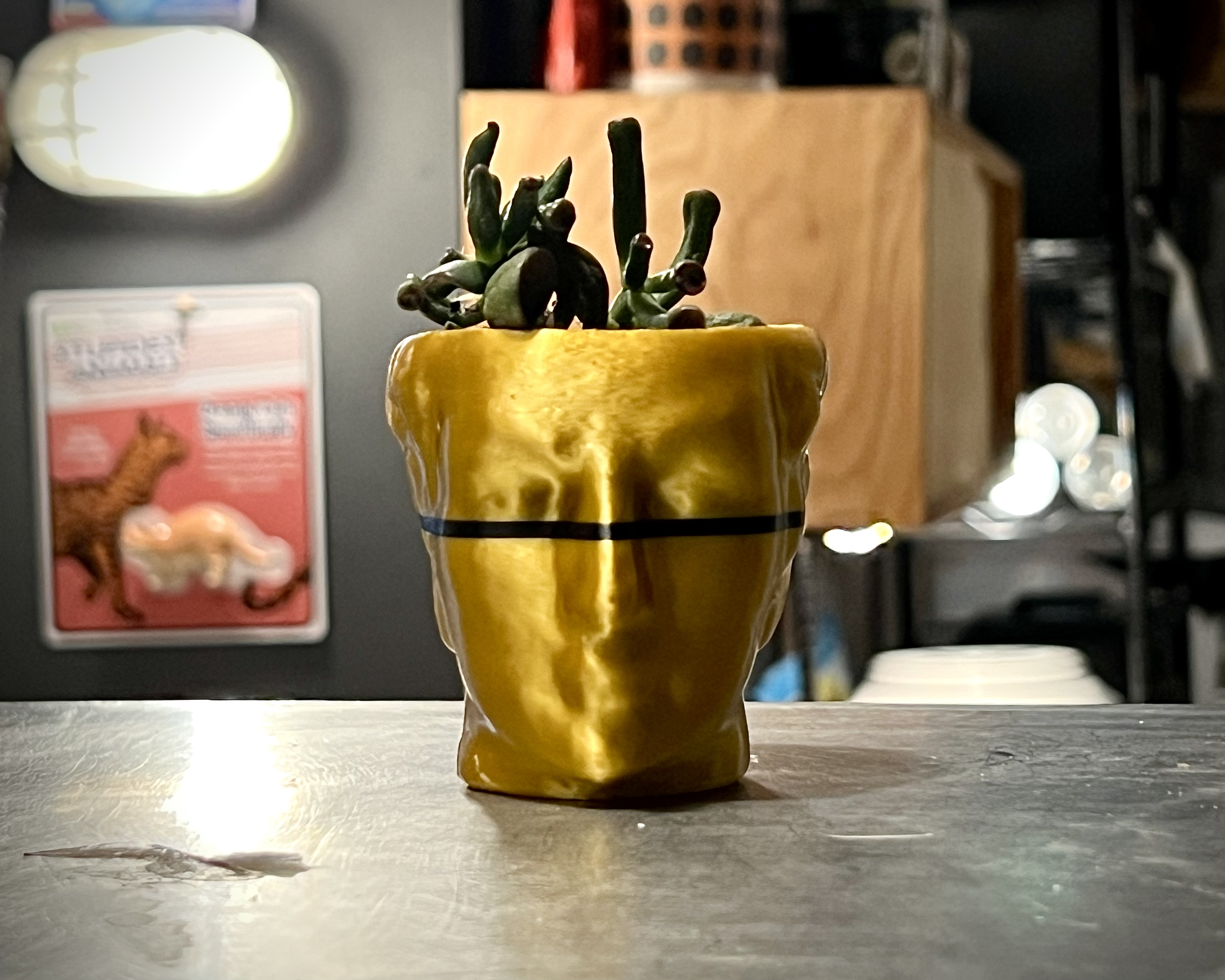 Roman Head Planter by Jordy | Download free STL model | Printables.com