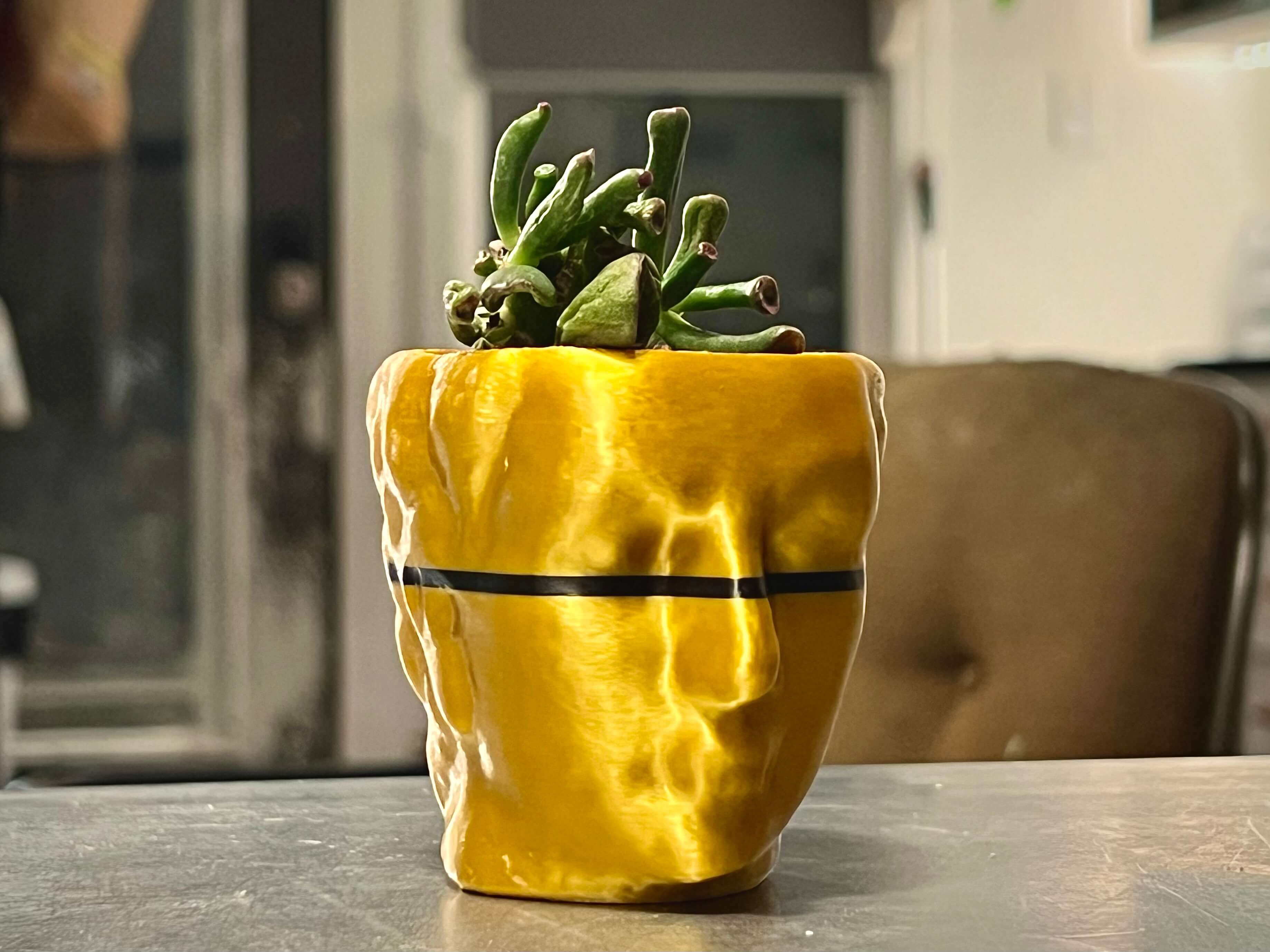 Roman Head Planter by Jordy | Download free STL model | Printables.com