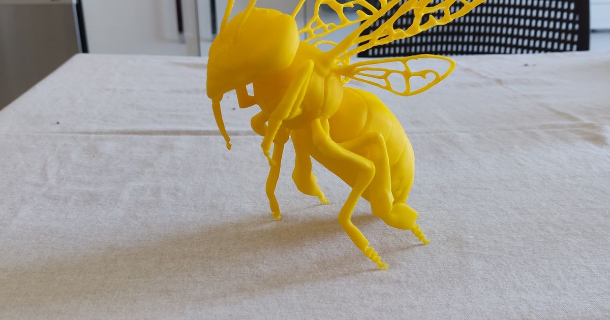 Honey Bee by Durmuş Gençer | Download free STL model | Printables.com