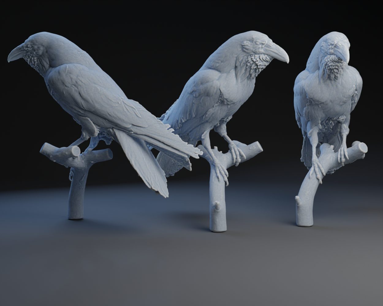 Raven: Put a bird on it 2 par Peter Farell | Téléchargez gratuitement ...