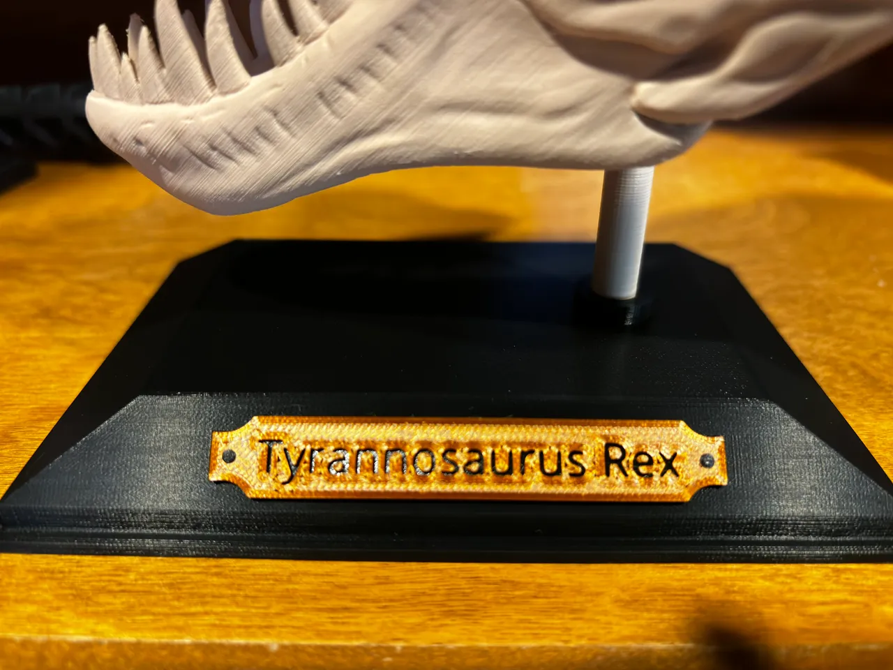 Nameplate for T-Rex Skull by SENTNTTOILET | Download free STL model ...