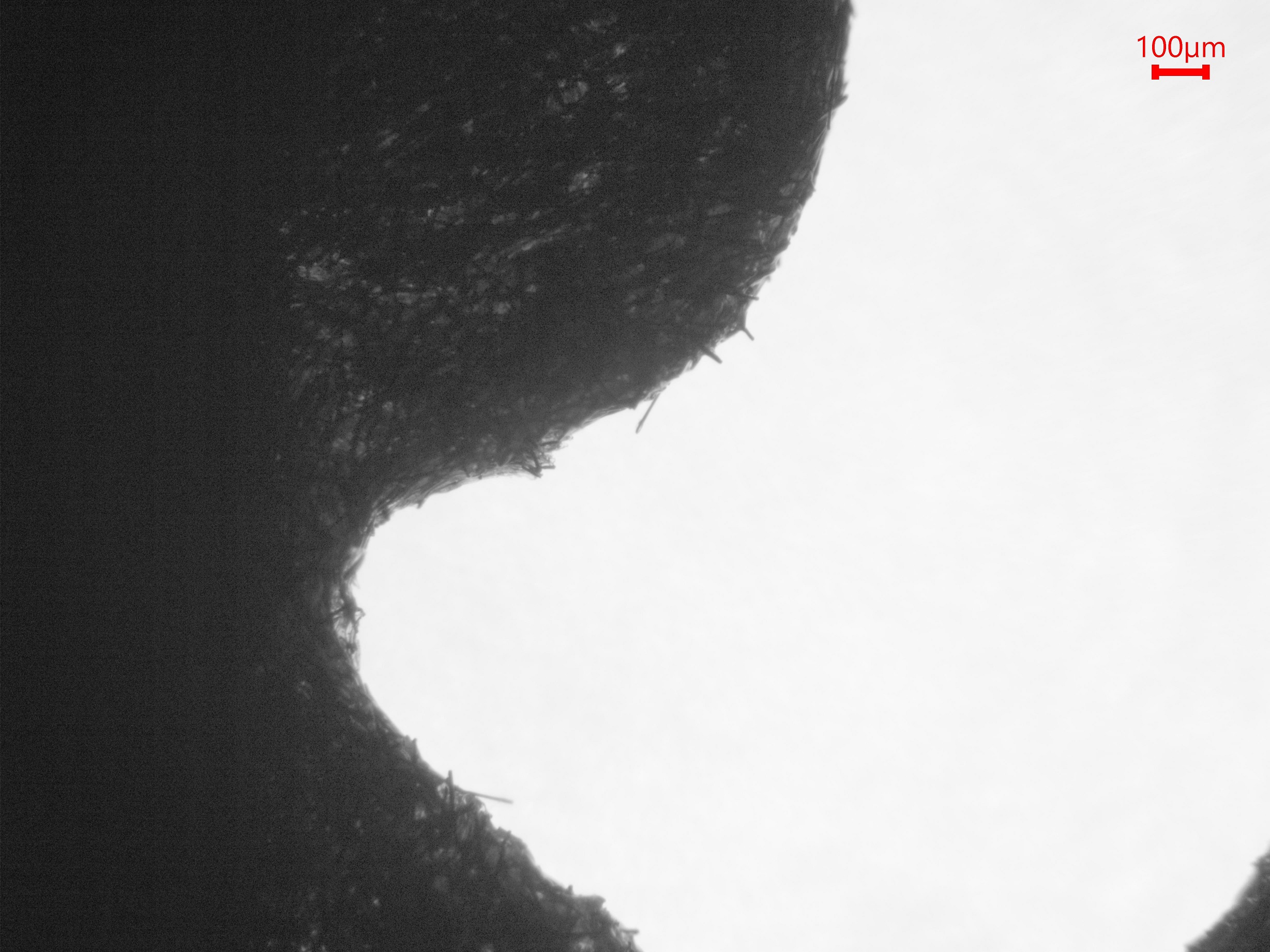 Microscope Slide for filament inspection & PC Blend CF inspection ...