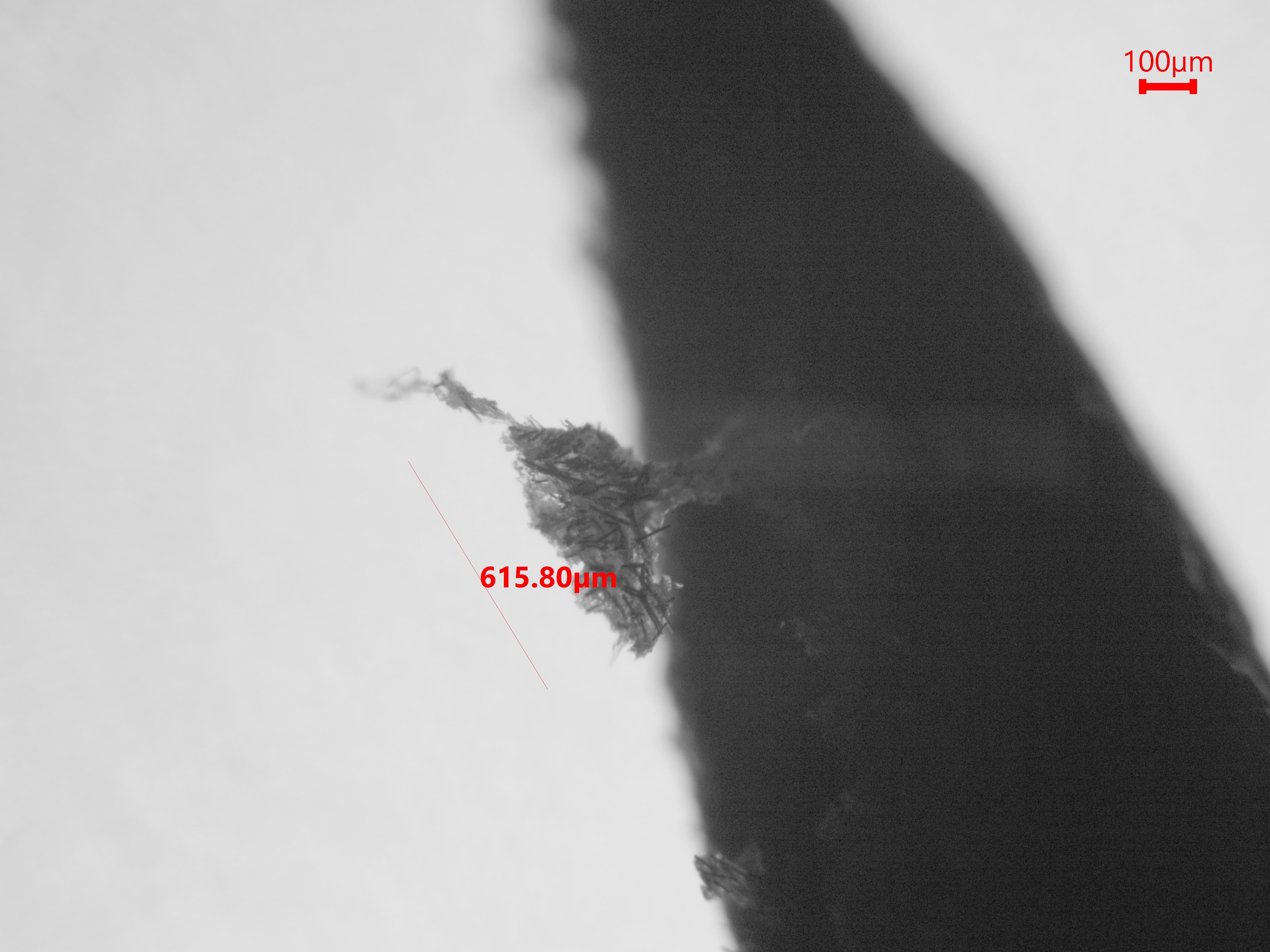 Microscope Slide for filament inspection & PC Blend CF inspection ...