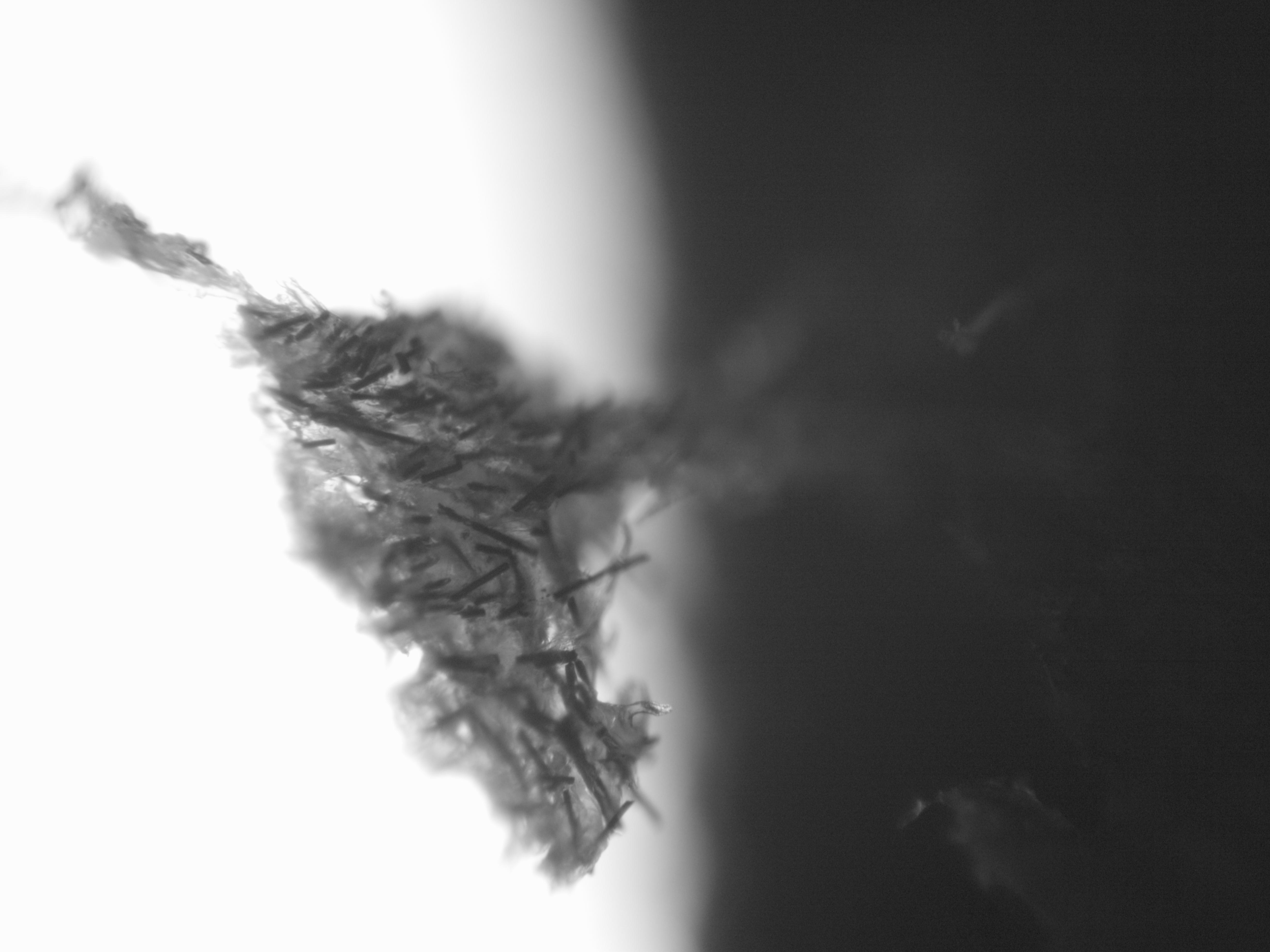 Microscope Slide for filament inspection & PC Blend CF inspection ...