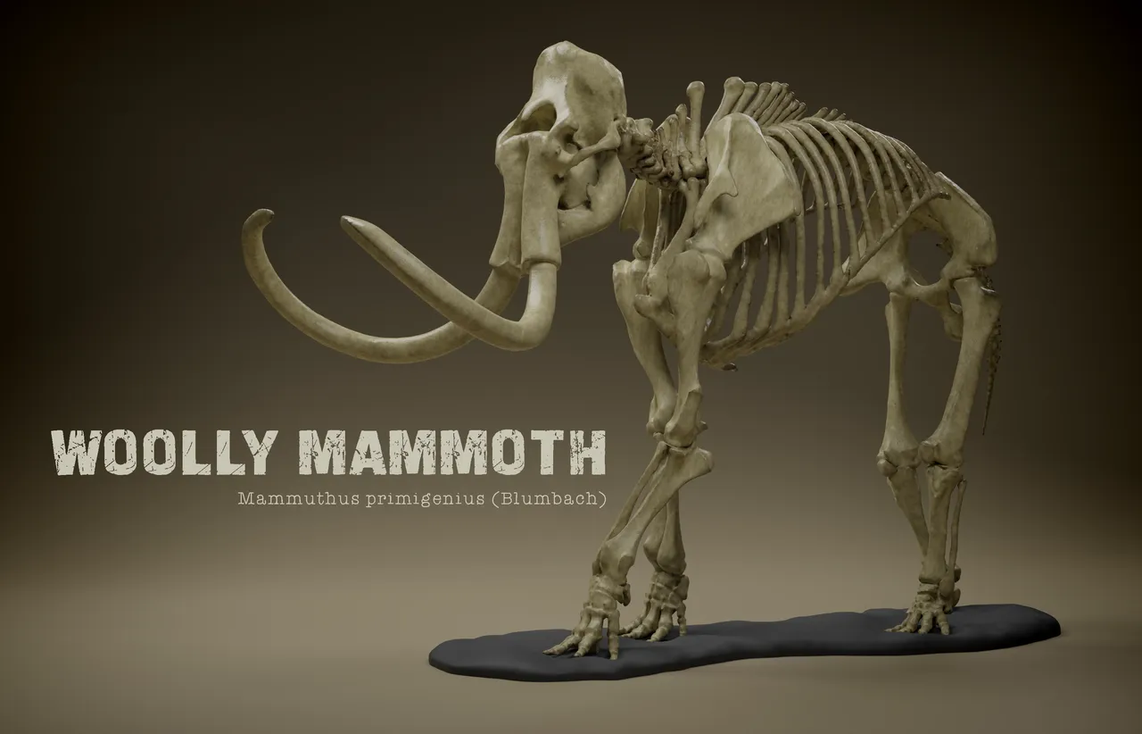 Woolly Mammoth Skeleton by Daniel | Download free STL model ...