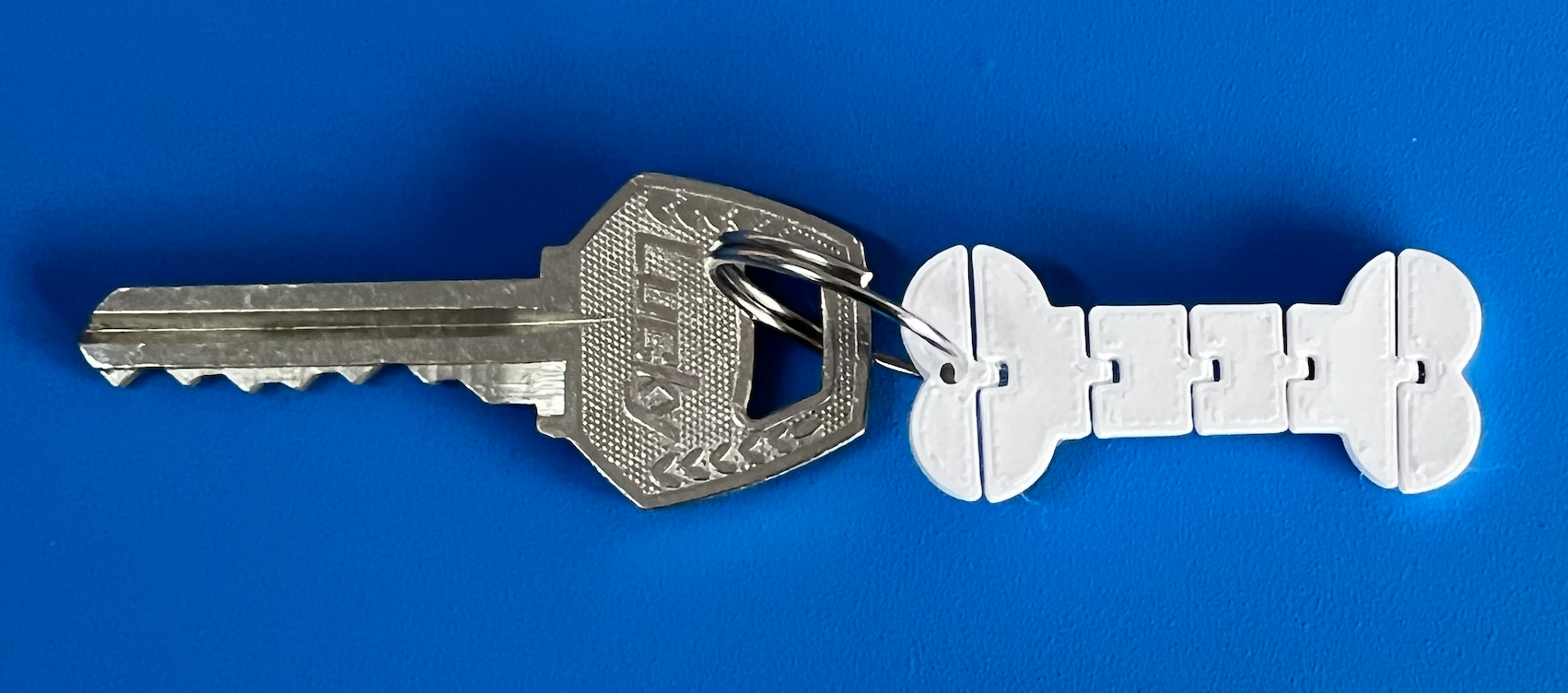 Articulated Dog Bone Keychain by C Model | Download free STL model ...