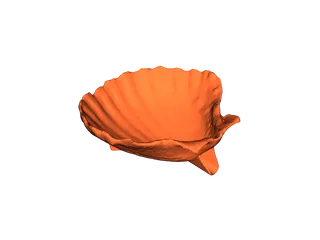 Sea Shell Soap Dish by AnonymousHermit | Download free STL model ...