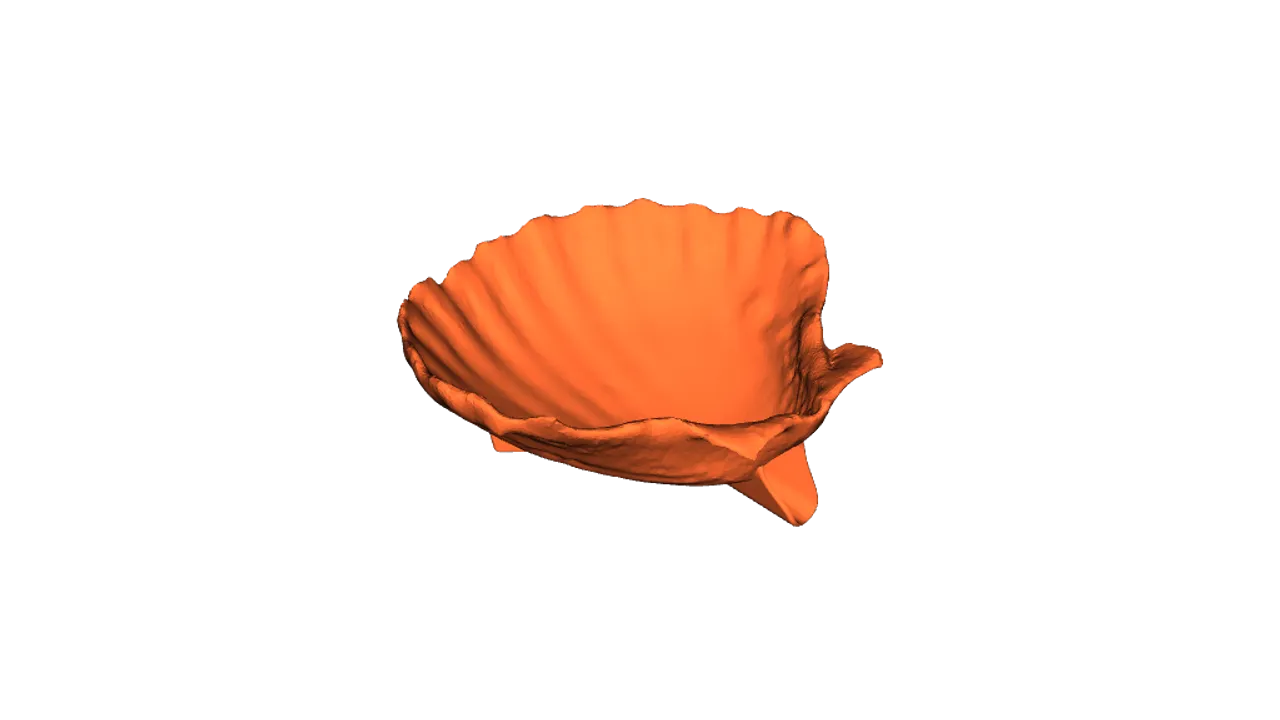 Sea Shell Soap Dish by AnonymousHermit | Download free STL model ...