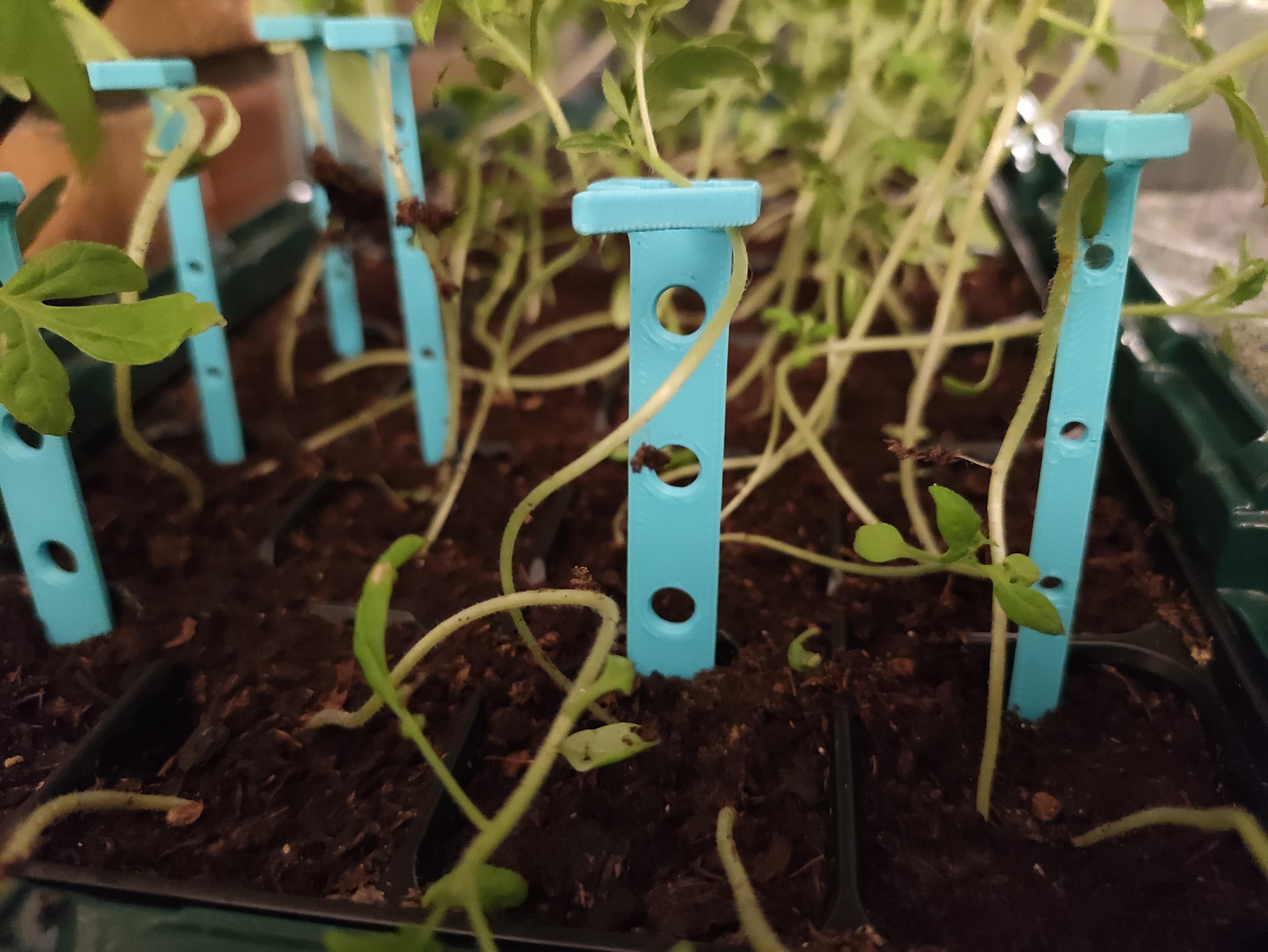 🌱 Seedling support with auto-clip (no wires needed) by vaxxi | Download ...