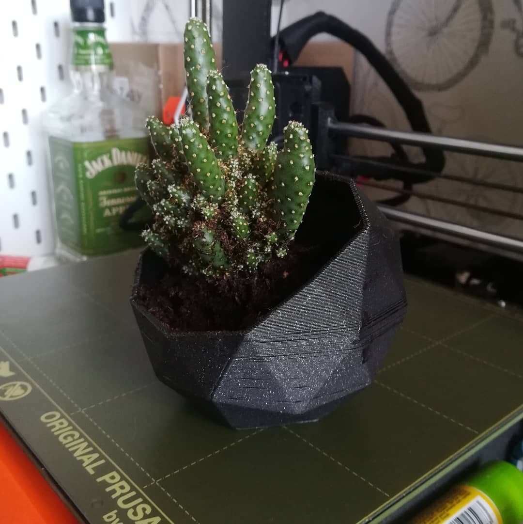 Geometric Cactus Pot by Madzialke | Download free STL model ...