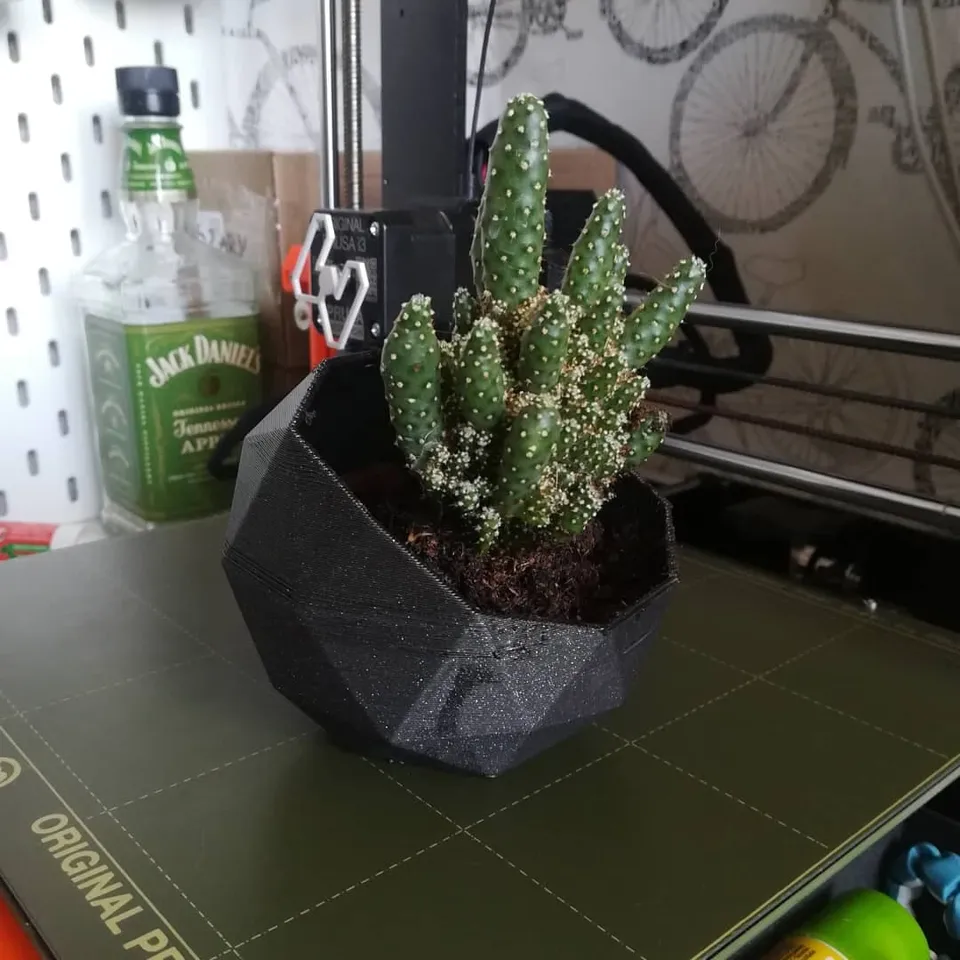 Geometric Cactus Pot by Madzialke | Download free STL model ...