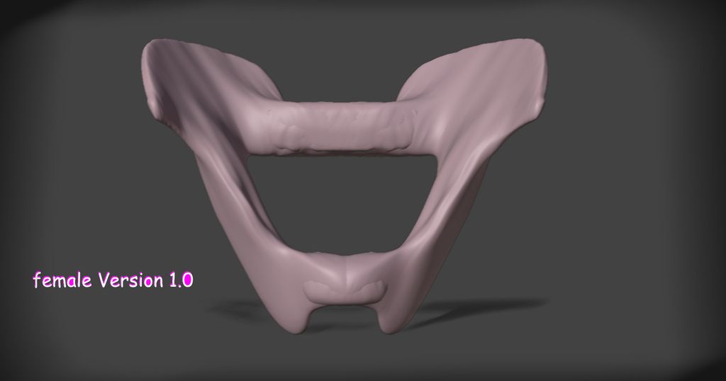 Android Pelvis v1.0 by strohmain by strohmain | Download free STL model ...