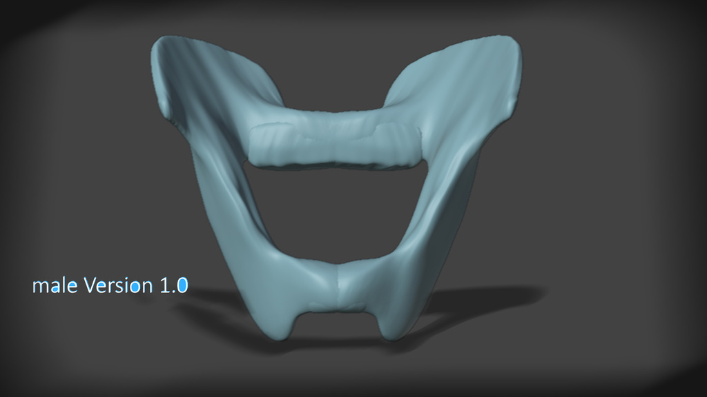 Android Pelvis v1.0 by strohmain by strohmain | Download free STL model ...