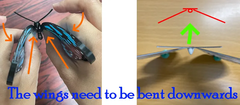 Spin! Butterfly (Balance Butterfly) by mailiou | Download free STL ...