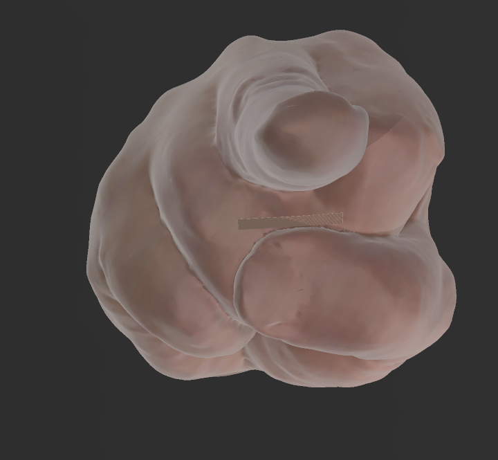 middel finger piggybank V2 by adir moshe | Download free STL model ...