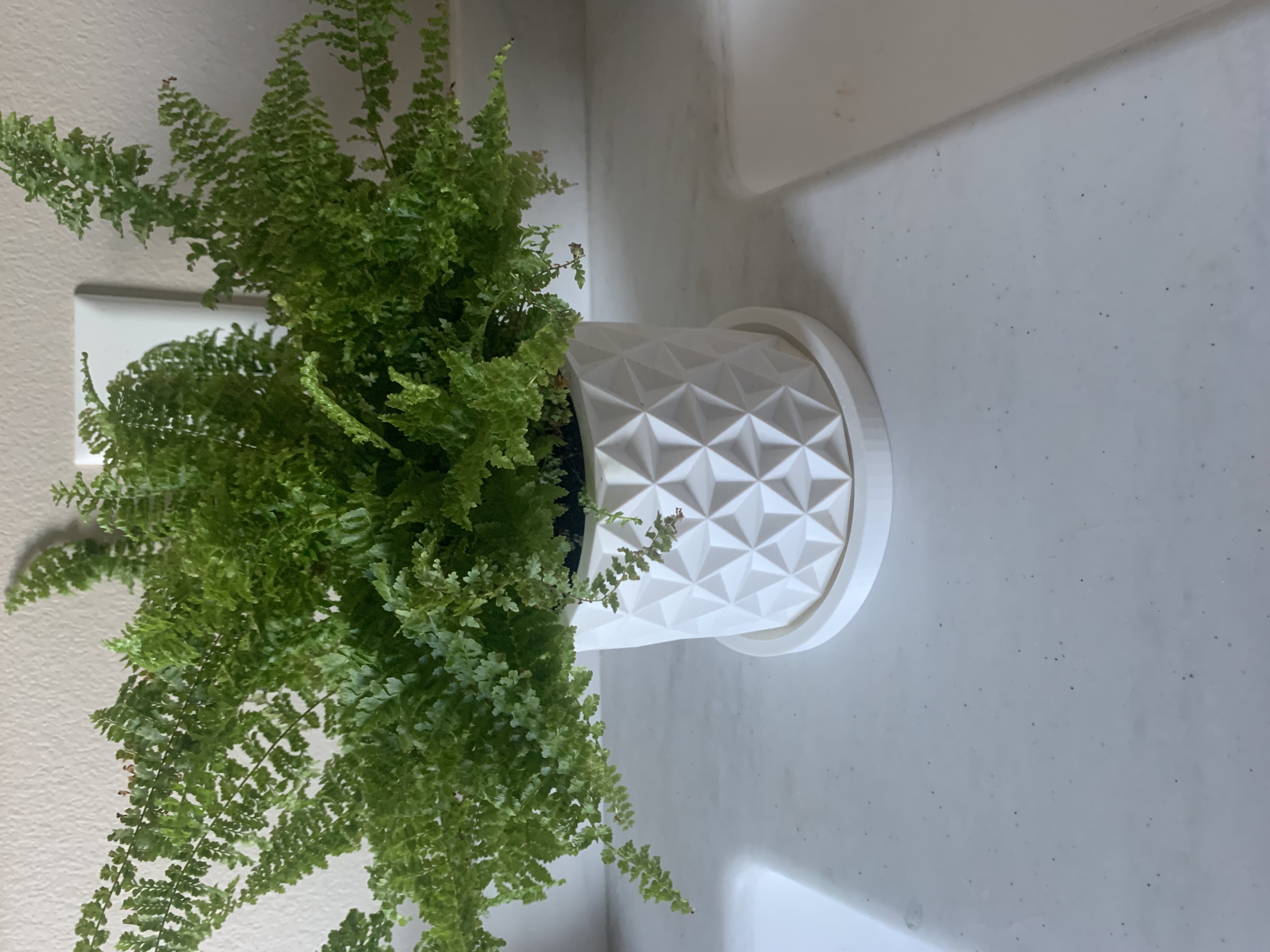 Traditional Triangle Pot with Drainage Holes Base by Ezra S | Download ...