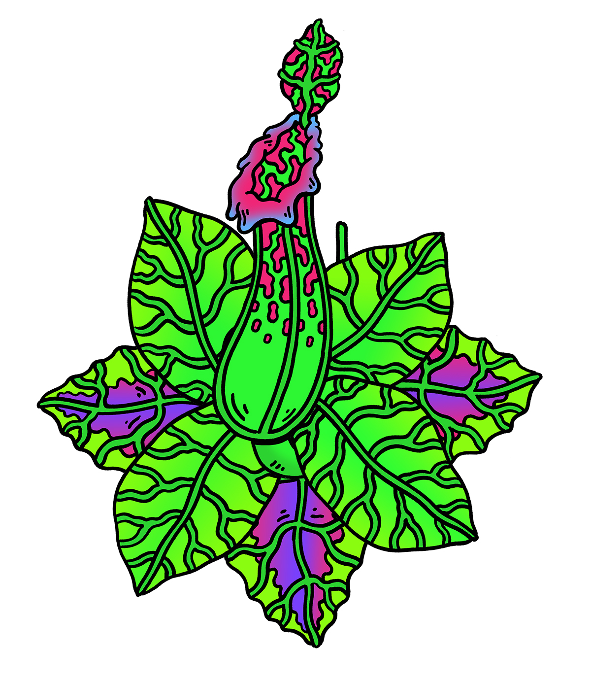 Carnivorous Pitcher Plant Bug Trap - Support Free Design by Evavoo ...