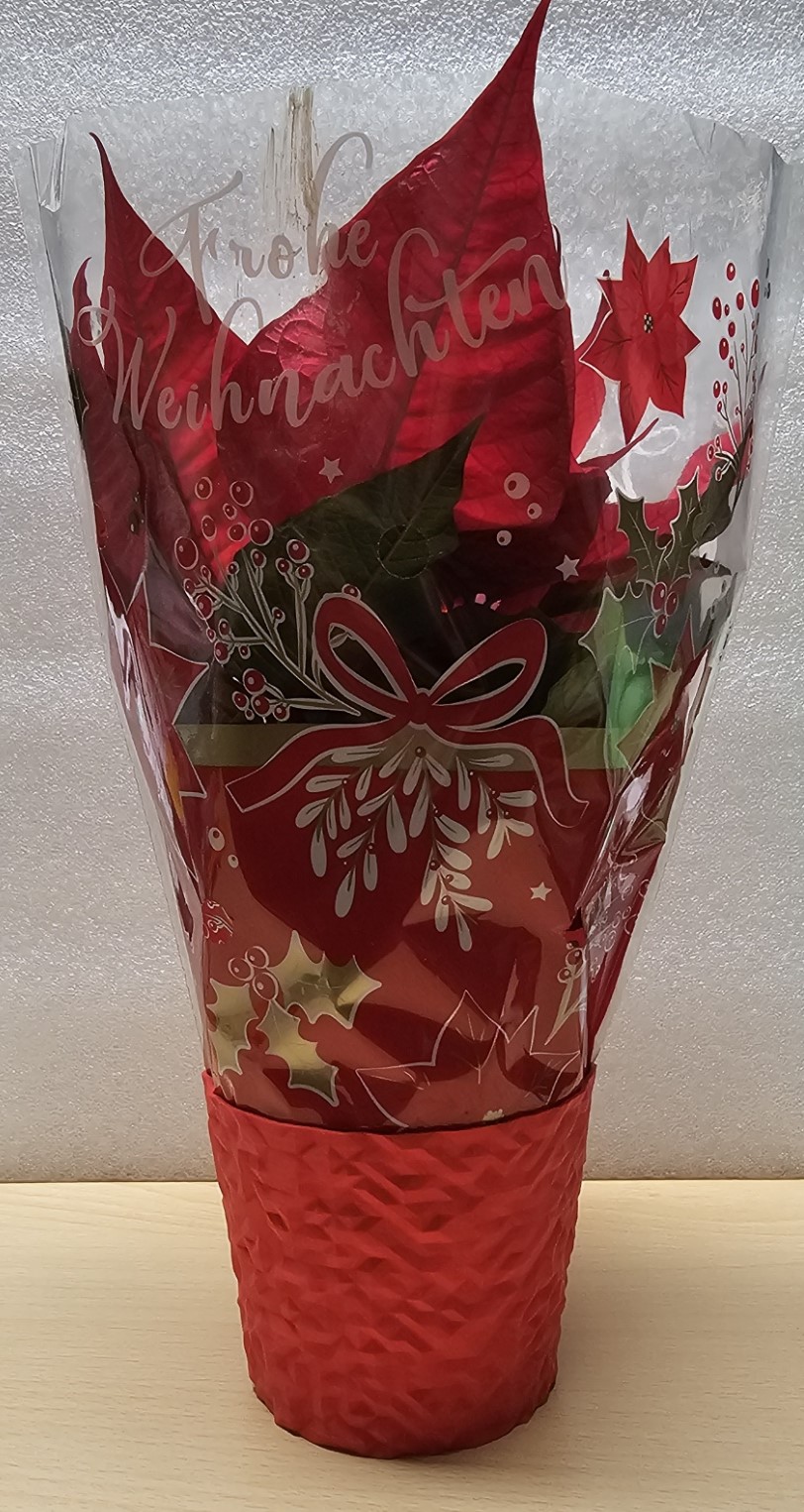 Med-Poly Planter by Rainer Backes | Download free STL model ...