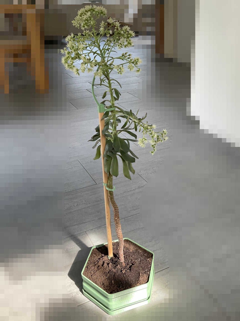 Flower pot with integral pole by LuluX | Download free STL model ...