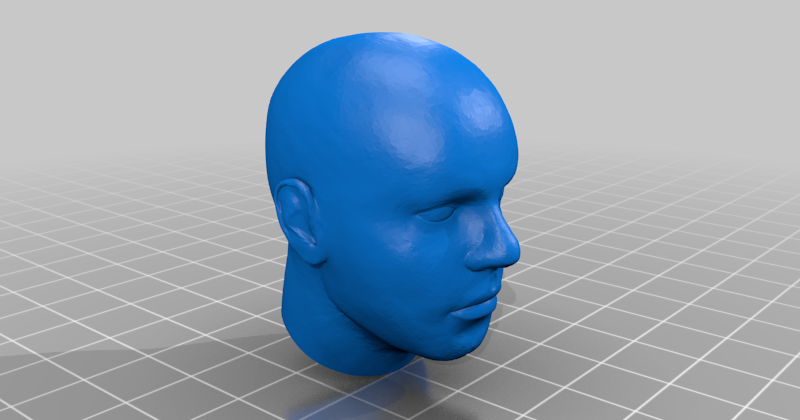 Human Head 1/6 Scale by TheNewBlood Dan | Download free STL model ...