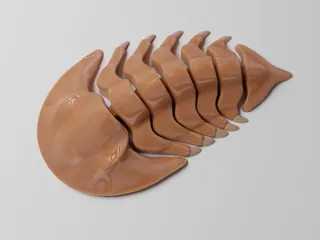 Articulated Trilobite by Jopek Design | Download free STL model ...