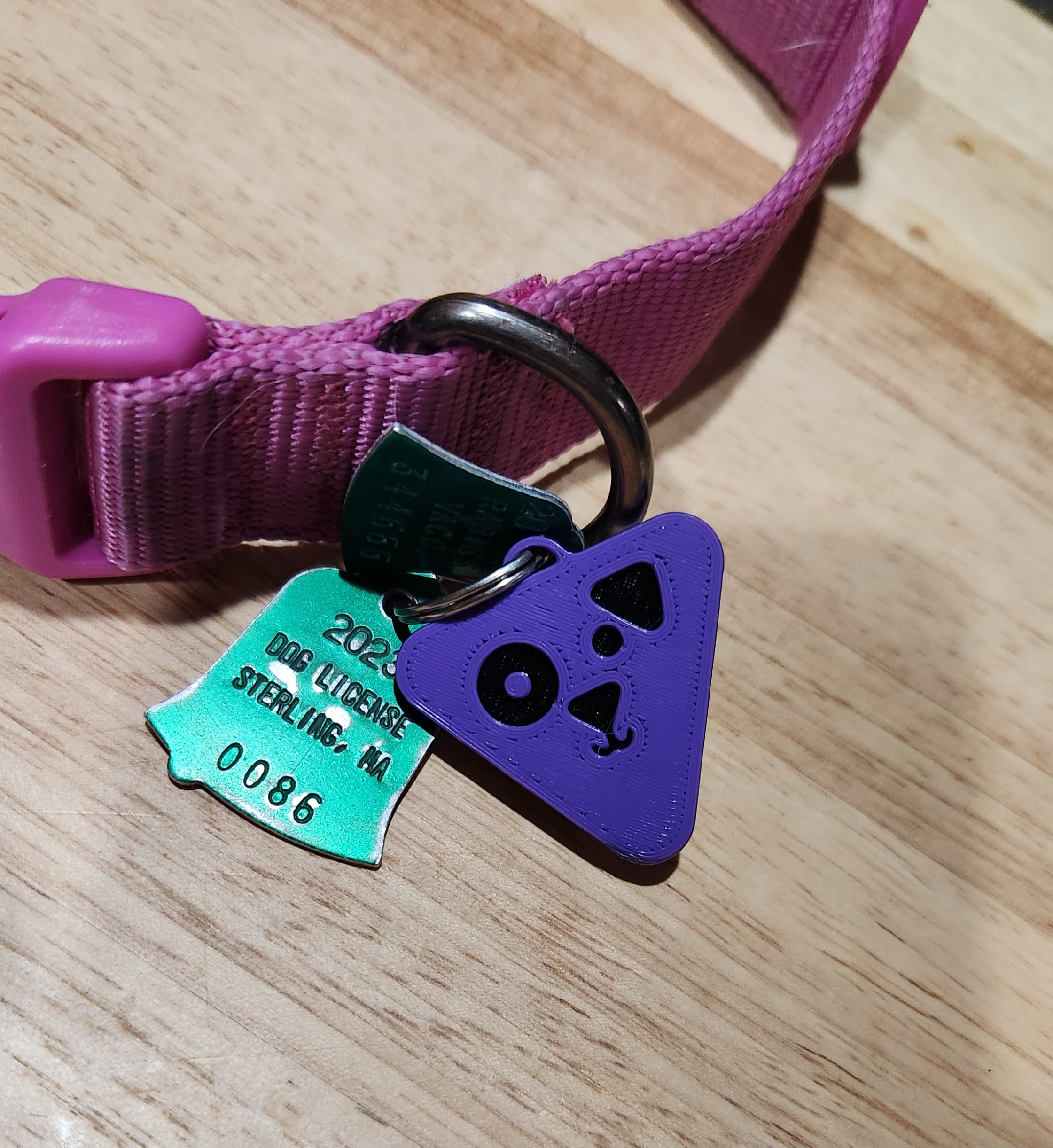 Dog Tag: Hotel for Homeless Dogs by Luce | Download free STL model ...