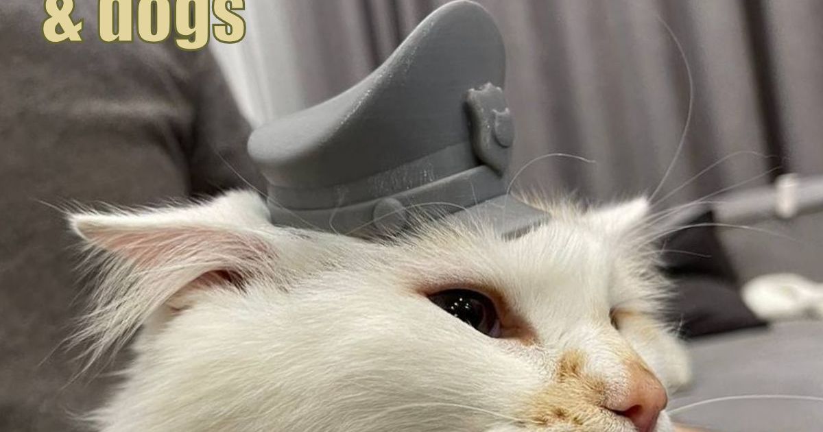 Police hat for pets by Анастасия Юсупкина | Download free STL model ...