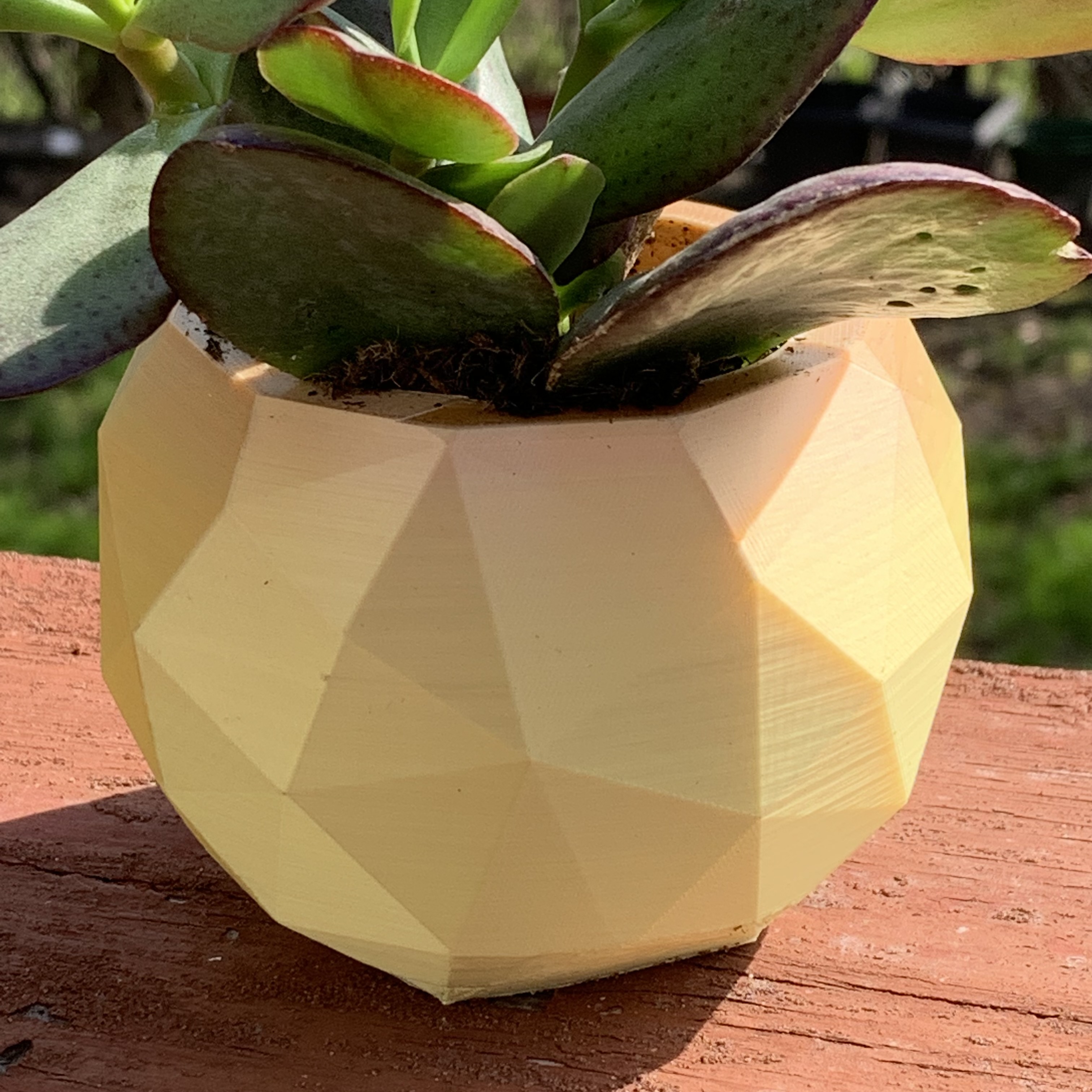 Elegant Low Poly Planters by Makerwiz | Printables Store