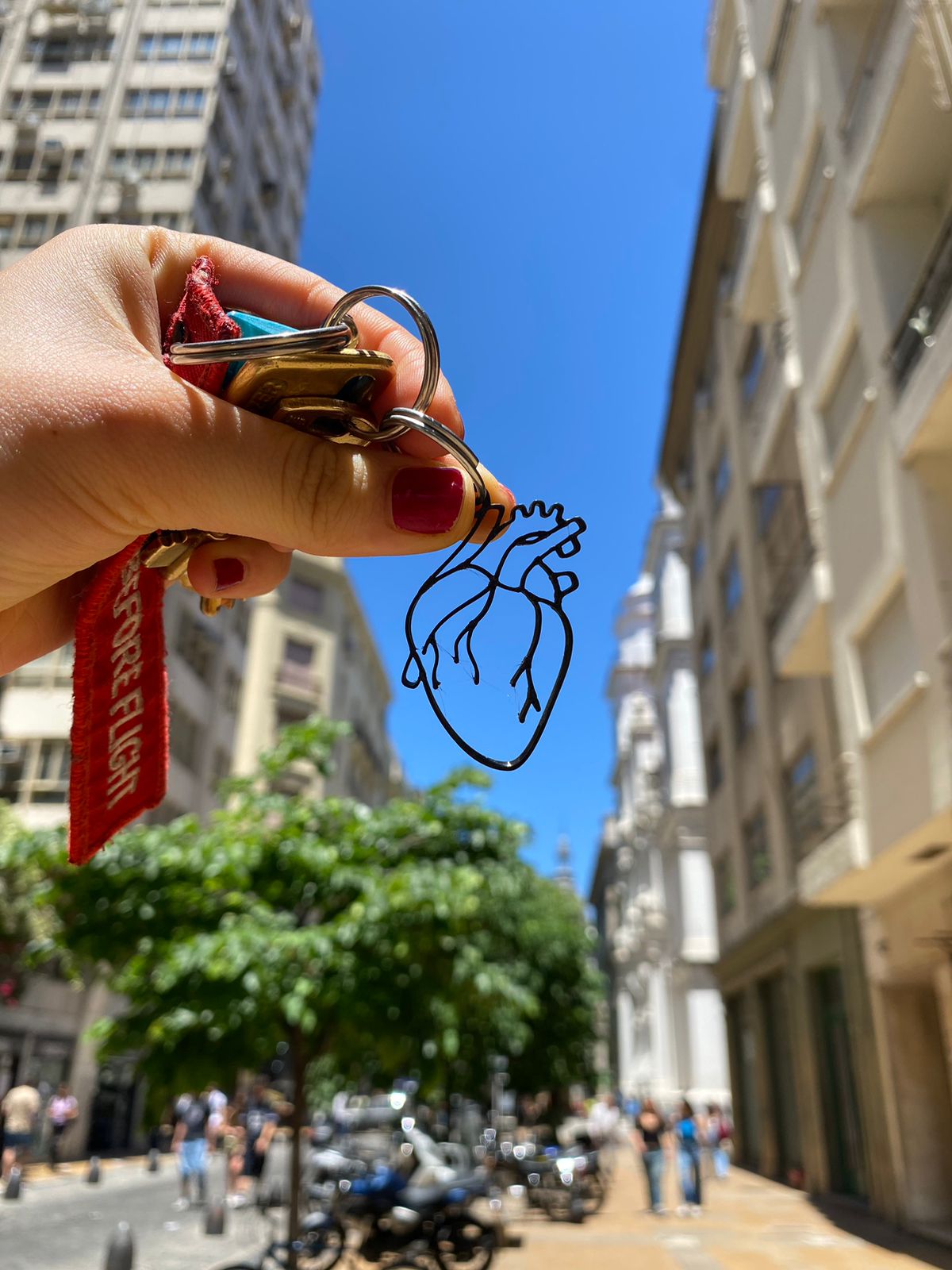 Anatomical Heart KeyChain by capocomico | Download free STL model ...