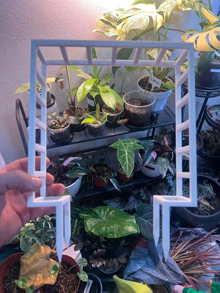 Plant Trellis by Ethan A | Download free STL model | Printables.com