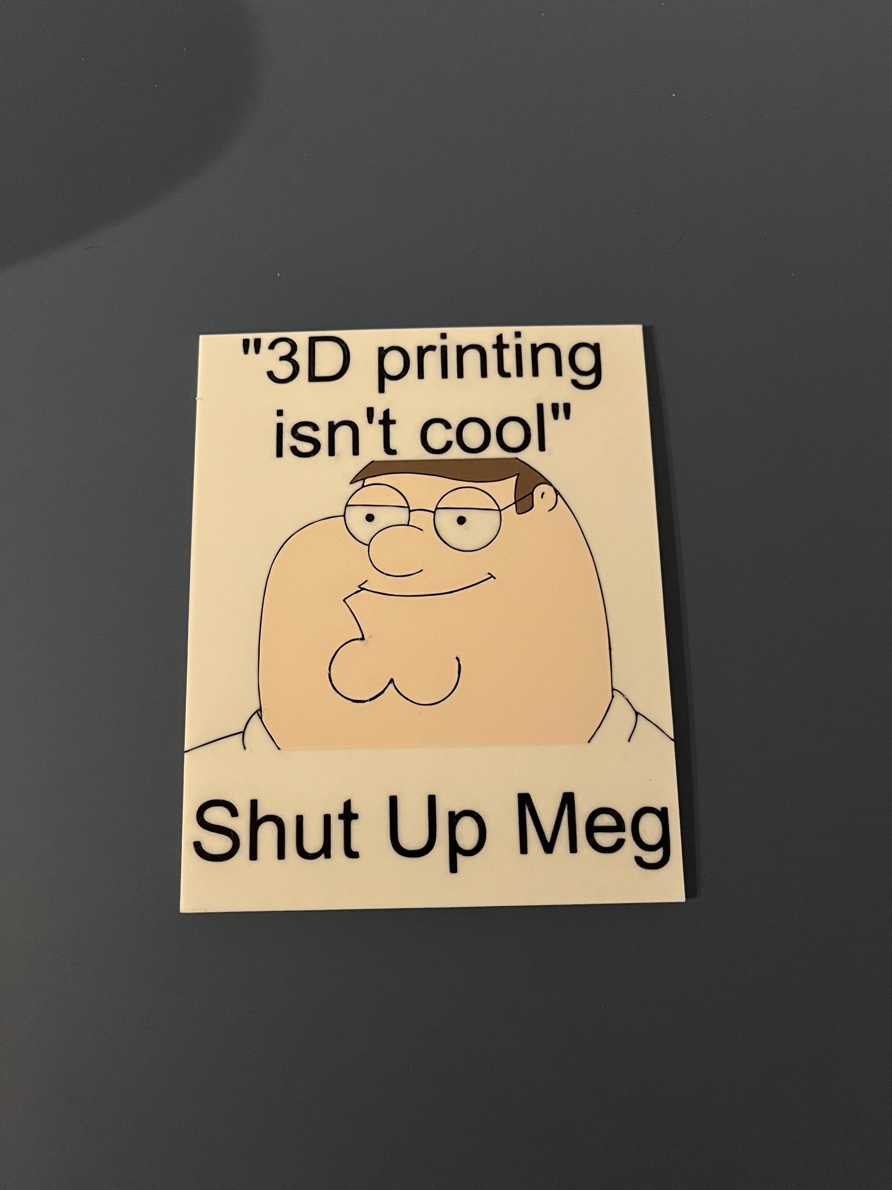Shut Up Meg by Print By Bear | Download free STL model | Printables.com