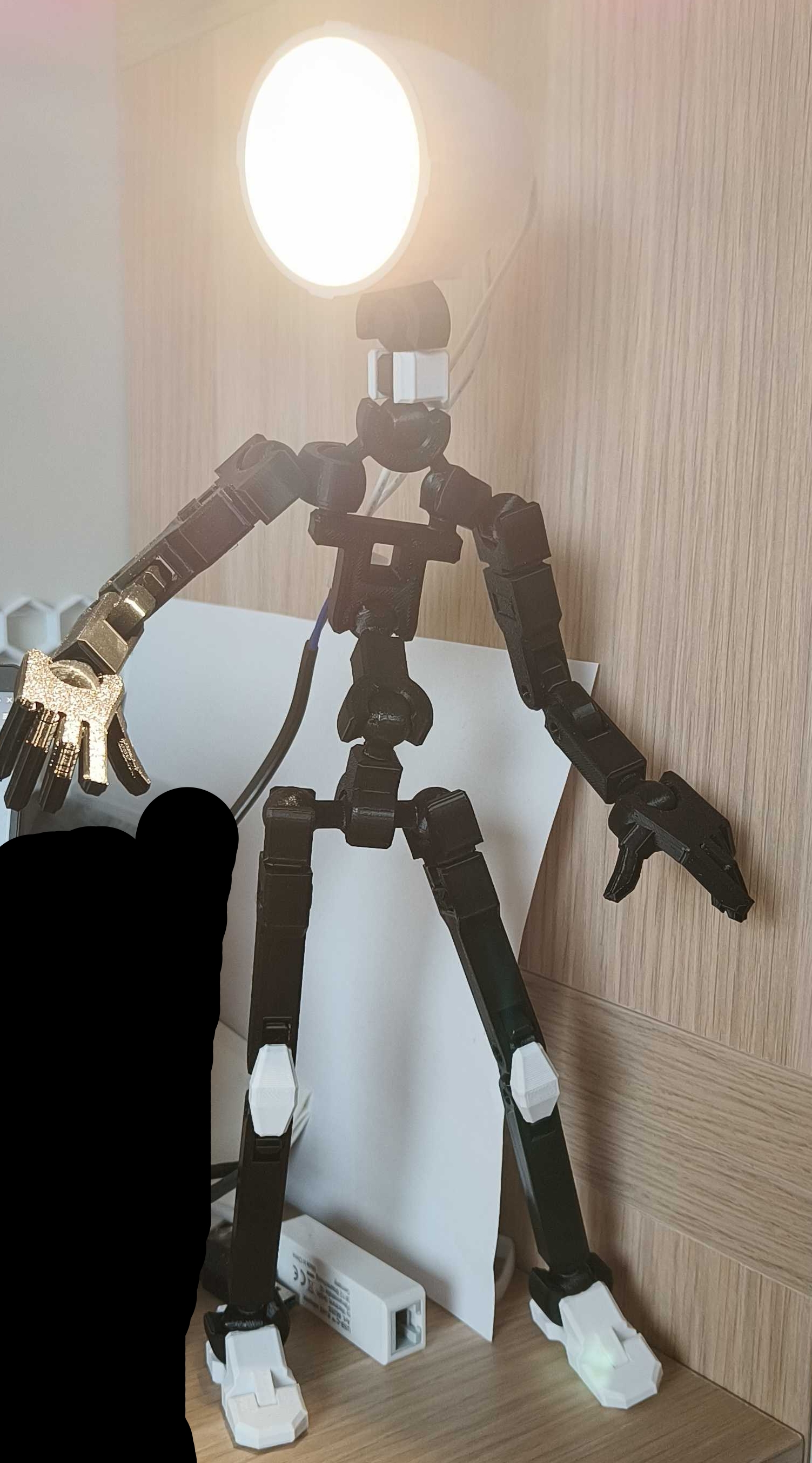 Dummy 13 Lamp mode by Teseties | Download free STL model | Printables.com