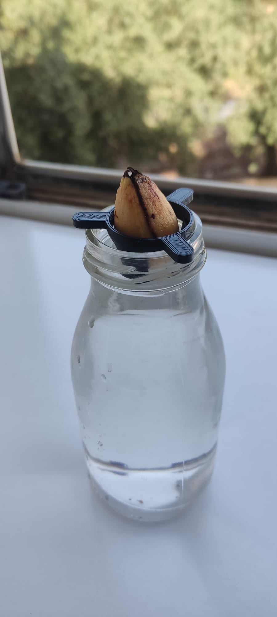 Mini Avocado holder by Gilad Warman | Download free STL model ...