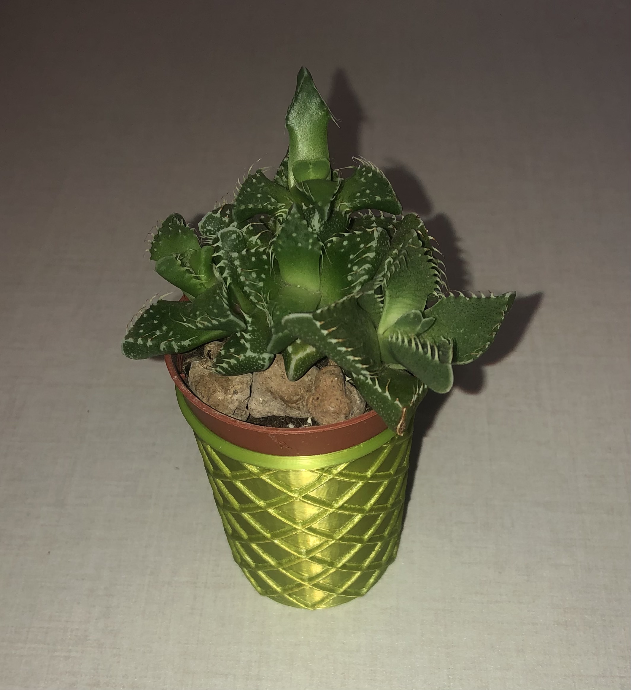 Pots For Mini Violets Cacti And Succulents By Сергей Download Free Stl Model