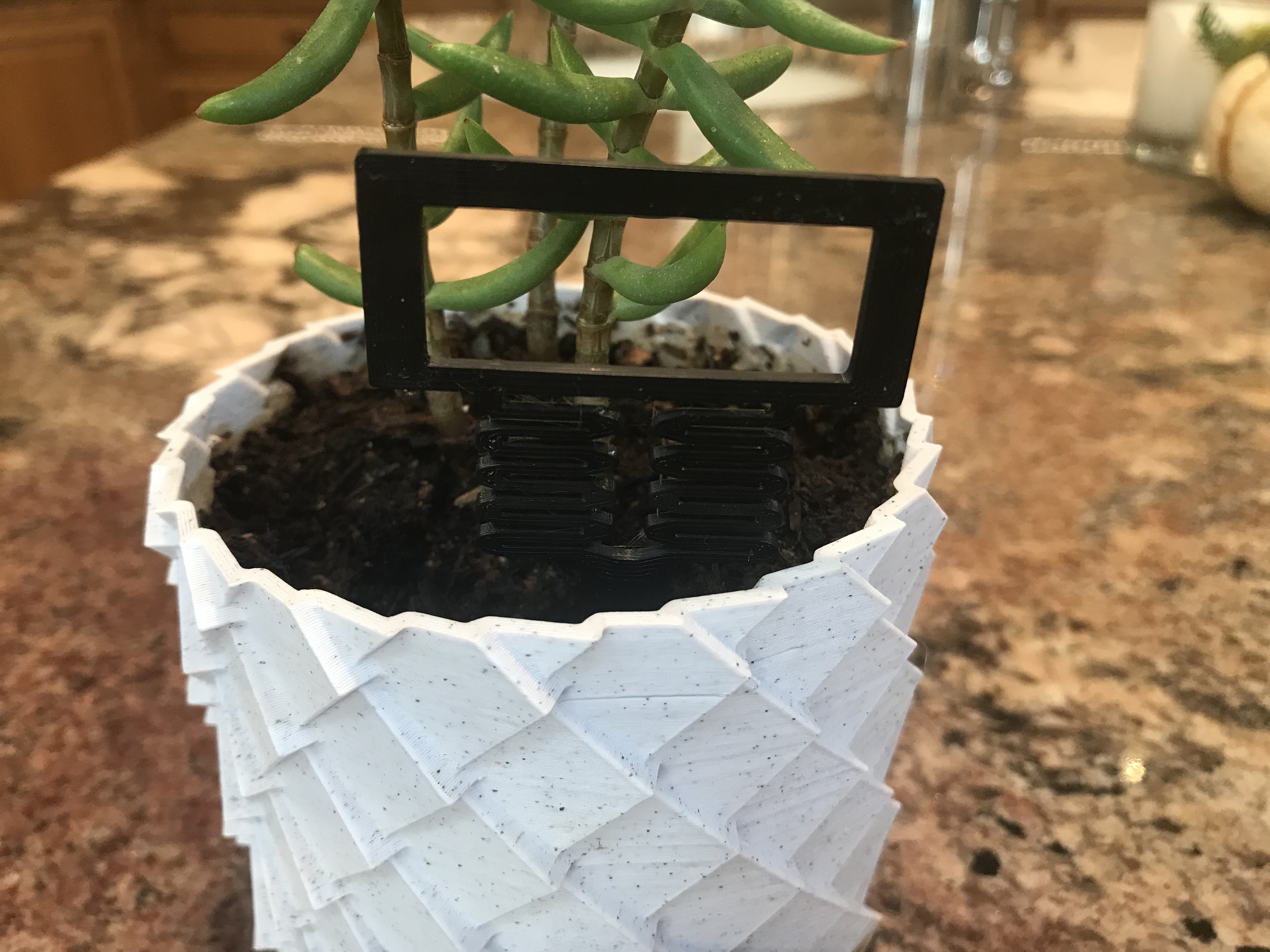 Flexi sign - the customizable planter sign by Affinity Prints ...