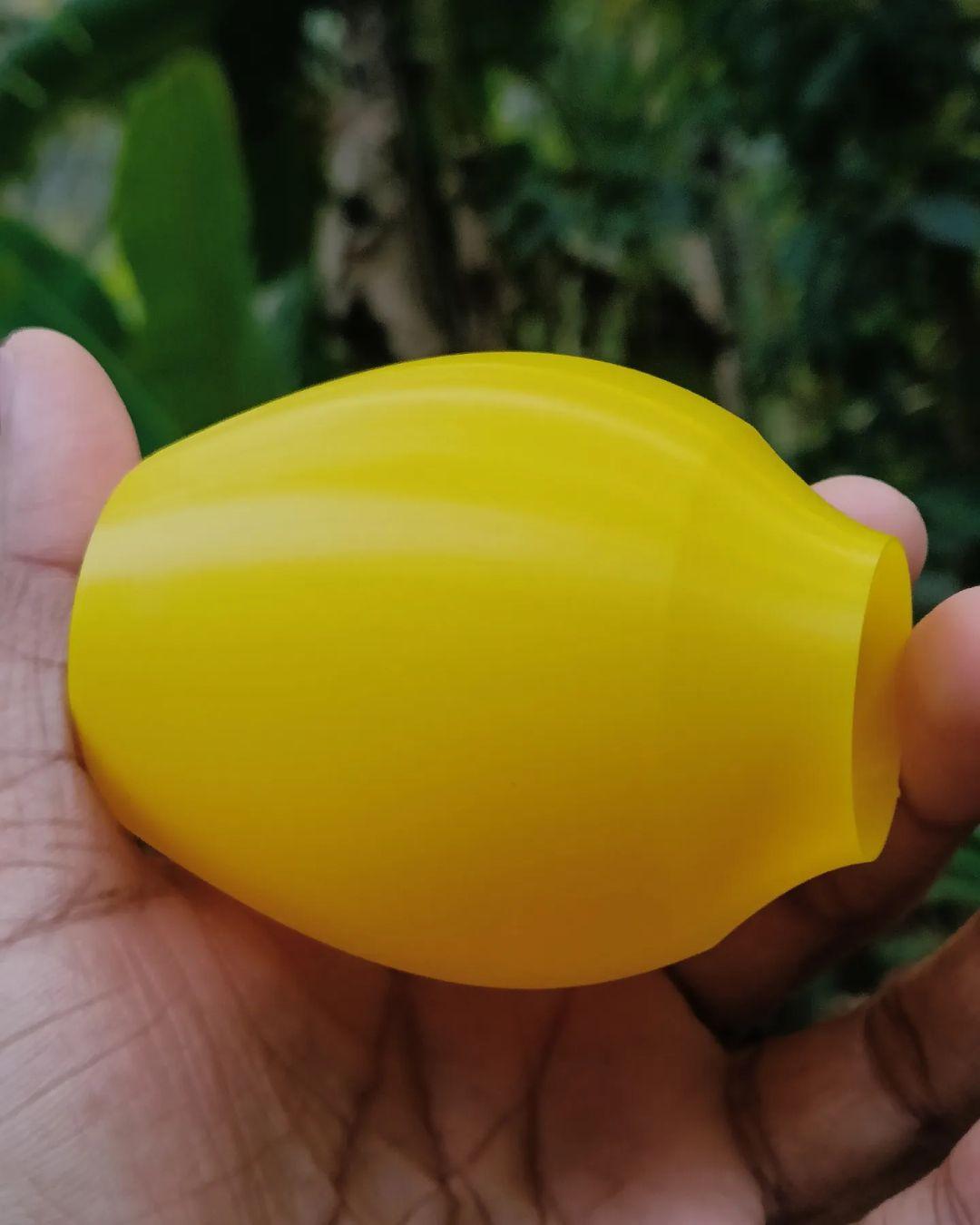 Mini Lemon Vase by Mels 3D LABS | Download free STL model | Printables.com