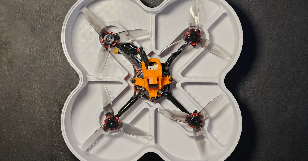 3" Toothpick Case by spectrexFPV | Download free STL model | Printables.com