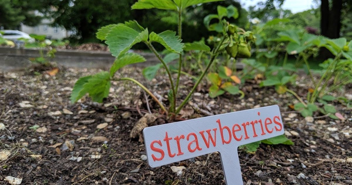 Garden Vegetable Signs by PunyPaladin | Download free STL model ...