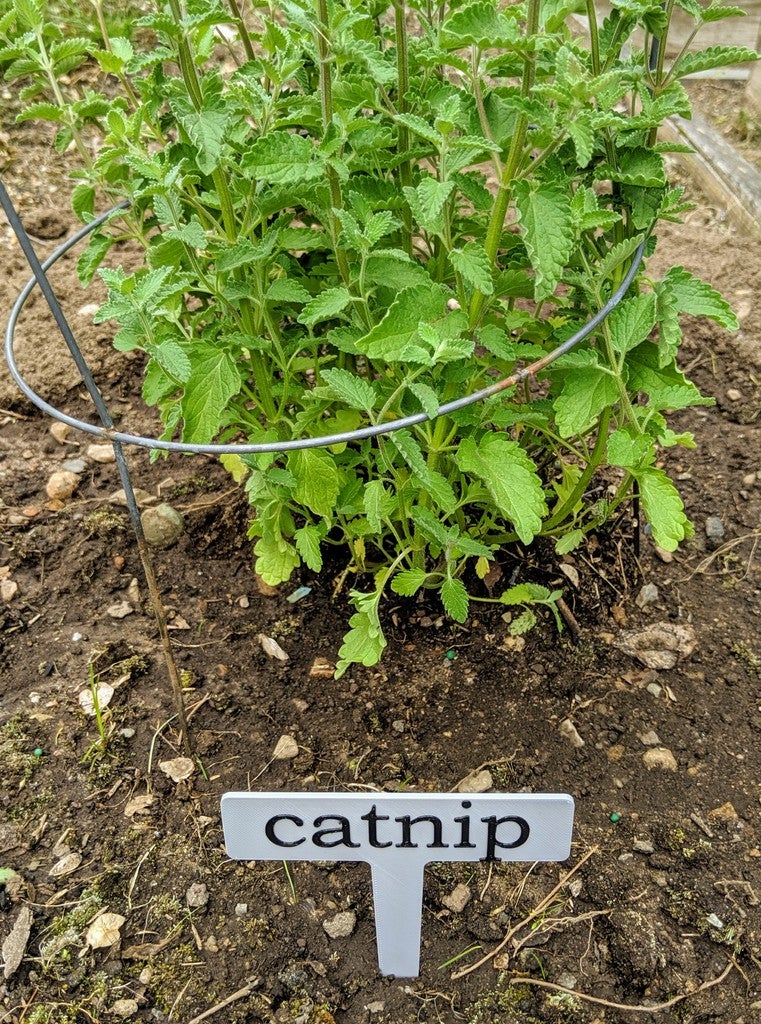 Garden Vegetable Signs by PunyPaladin | Download free STL model ...