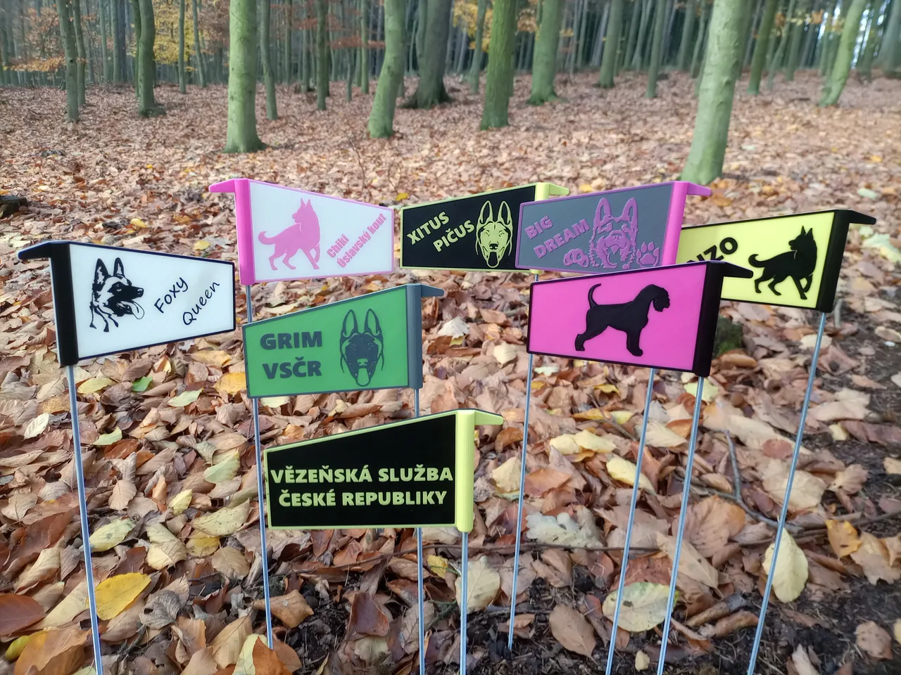 TRACK LEAVE FLAG DOG SPORT by Miroslav Březina | Download free STL ...